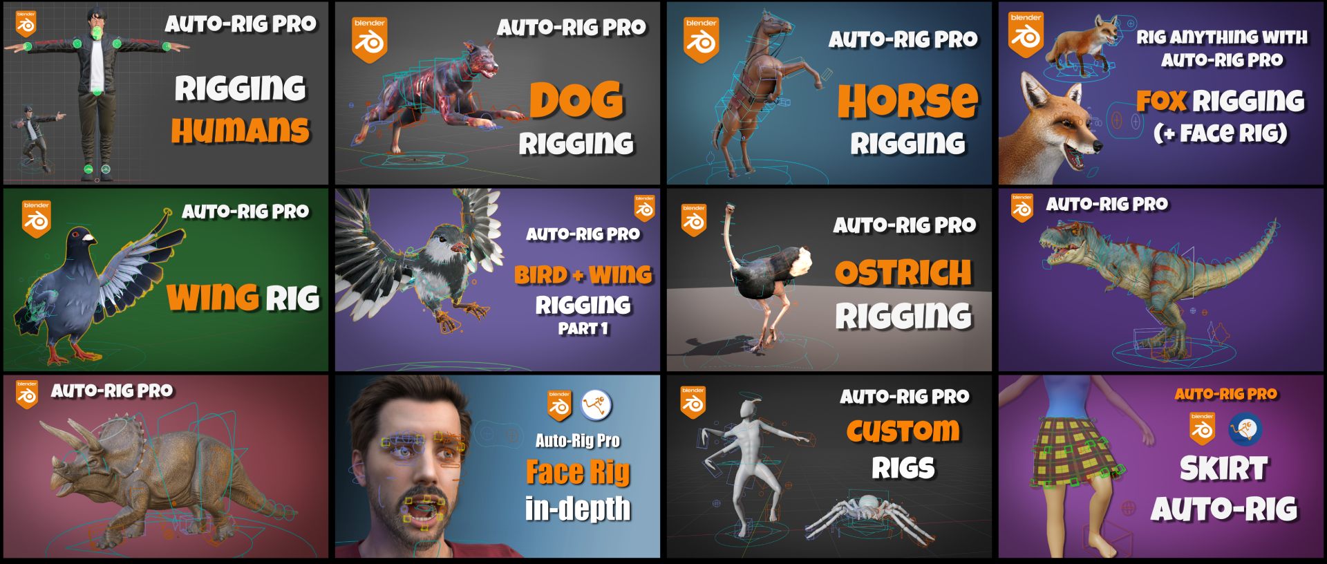 Blender Rigging: A Complete Learning Path | CGDive